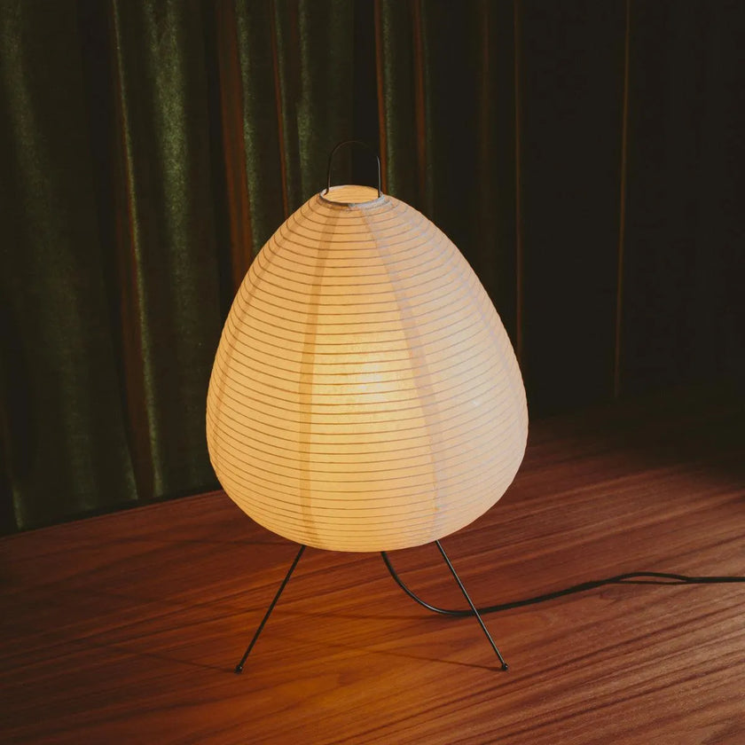 Absolutely Necessary Lamp – Dennis Did It